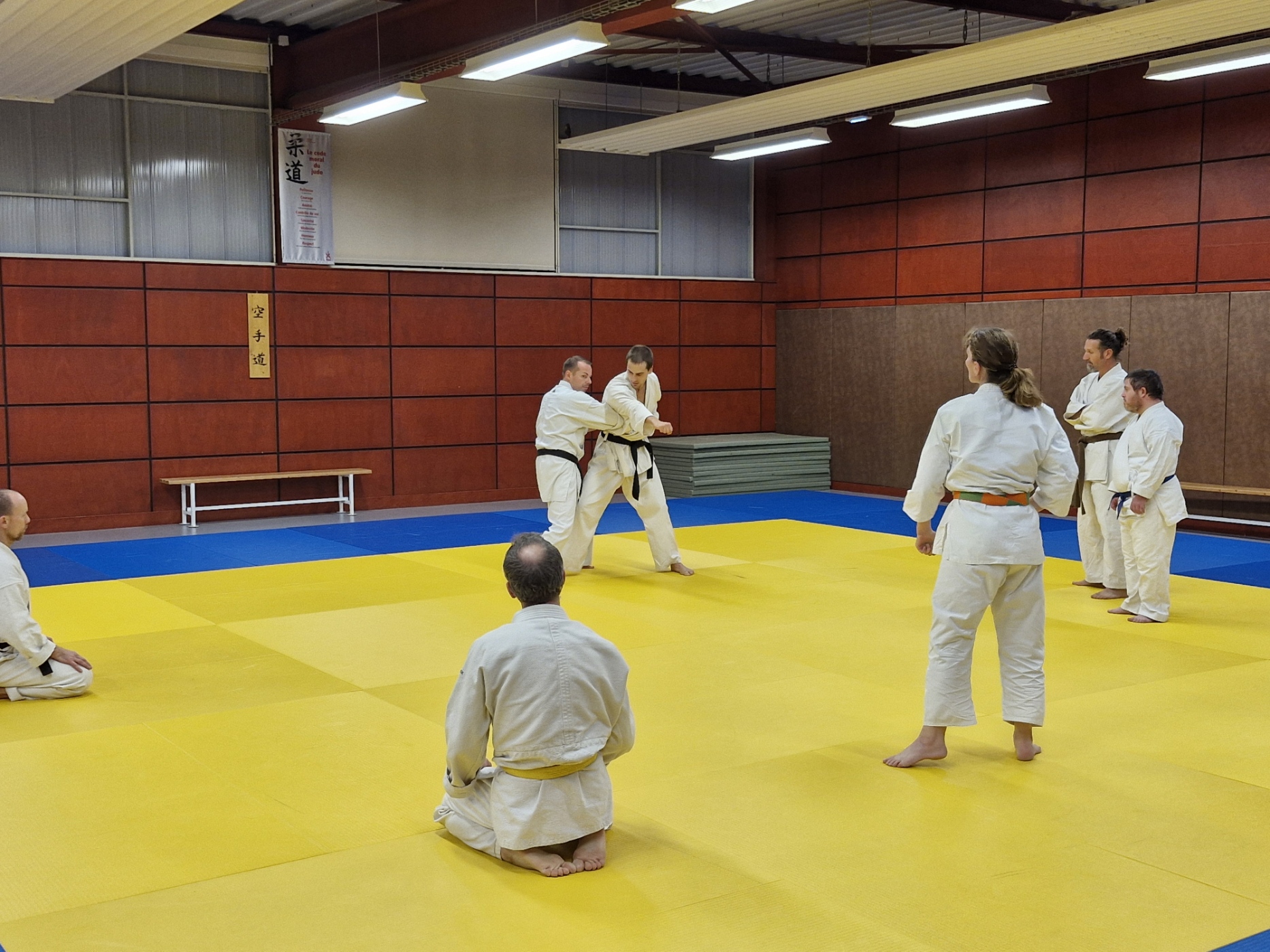 Un moment d’harmonie au dojo du Petit Versailles : le mardi soir au Karaté Shotokan Fléchois - ksf72